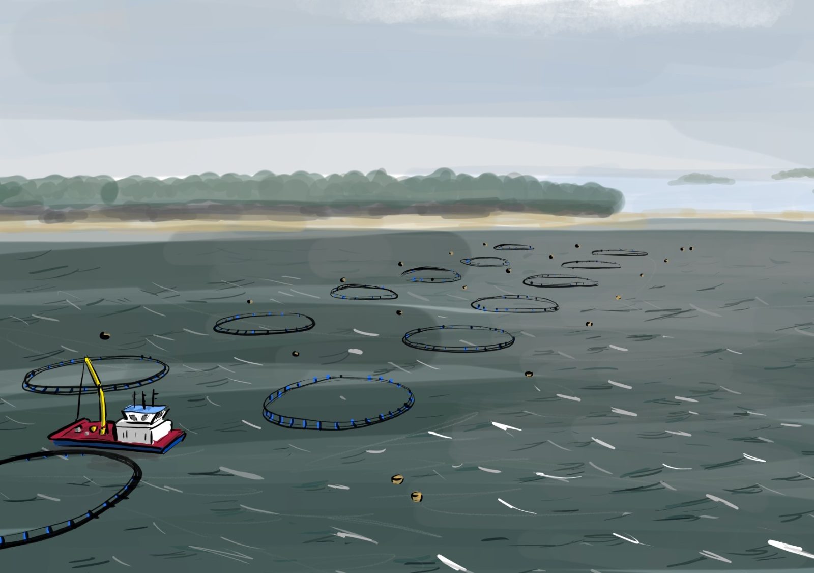 Fish Farm toolset - ProteusDS